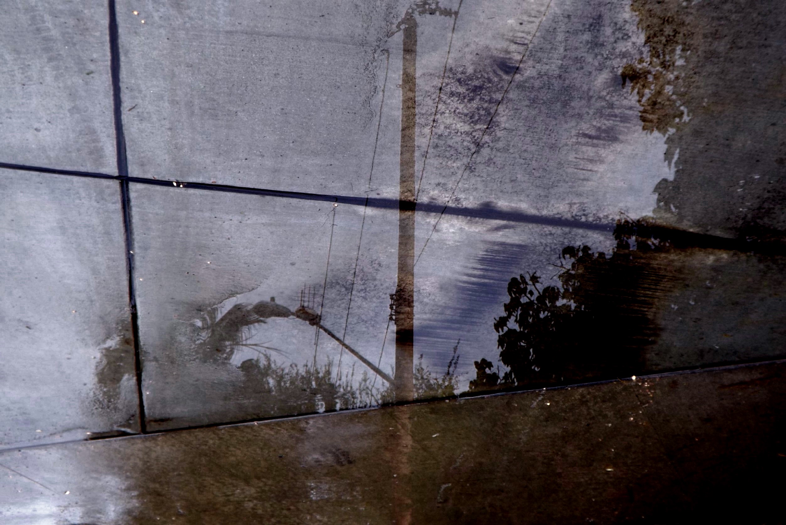 cool-reflection – a sprinkle of faith